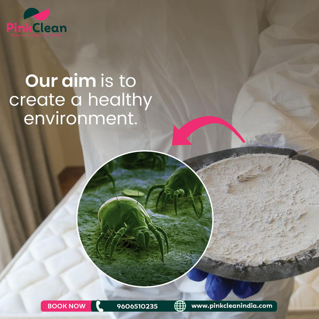 PinkClean - Deep Cleaning Services